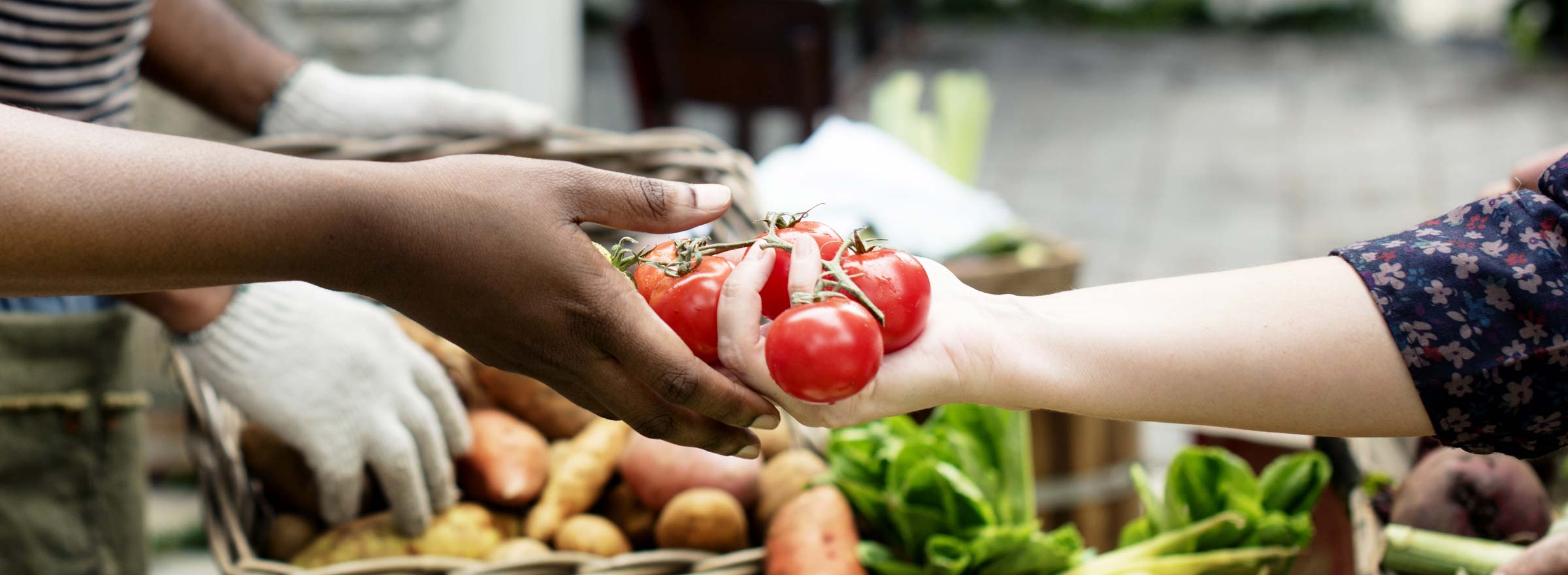 Public Good App House: Apps for Food Delivery and Inventory Management